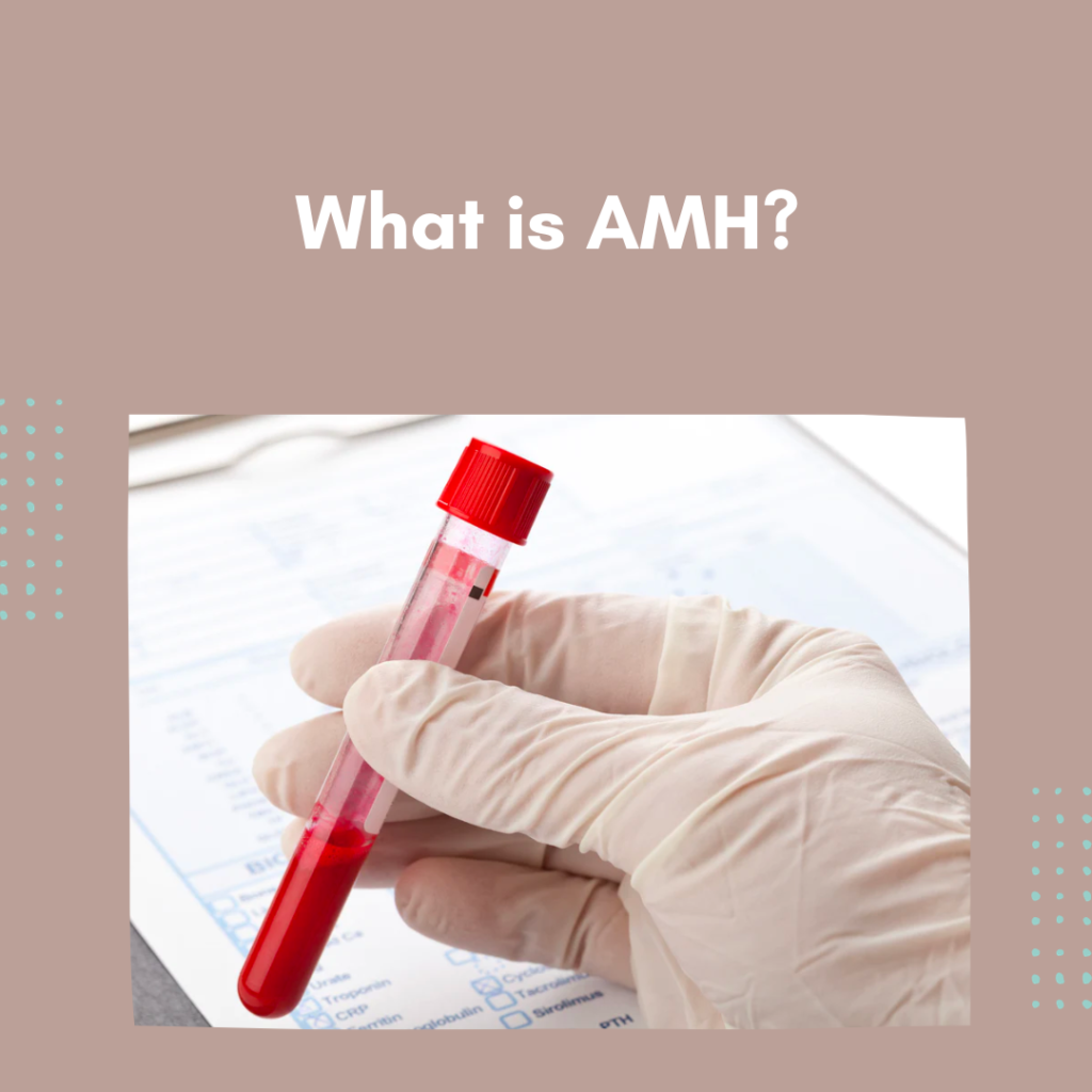 What is AMH test: Who it's for, and how it it helps | Embryopedia